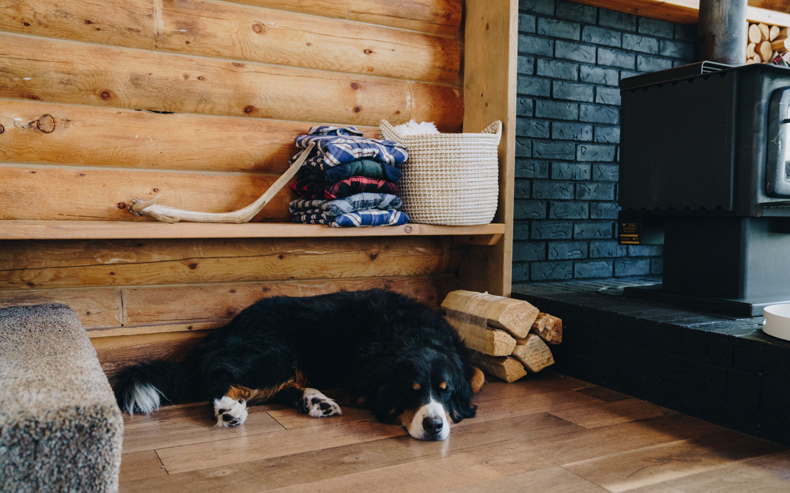 What Your Dog Breed Says About Your Flannel Choice – MuskOx Flannels