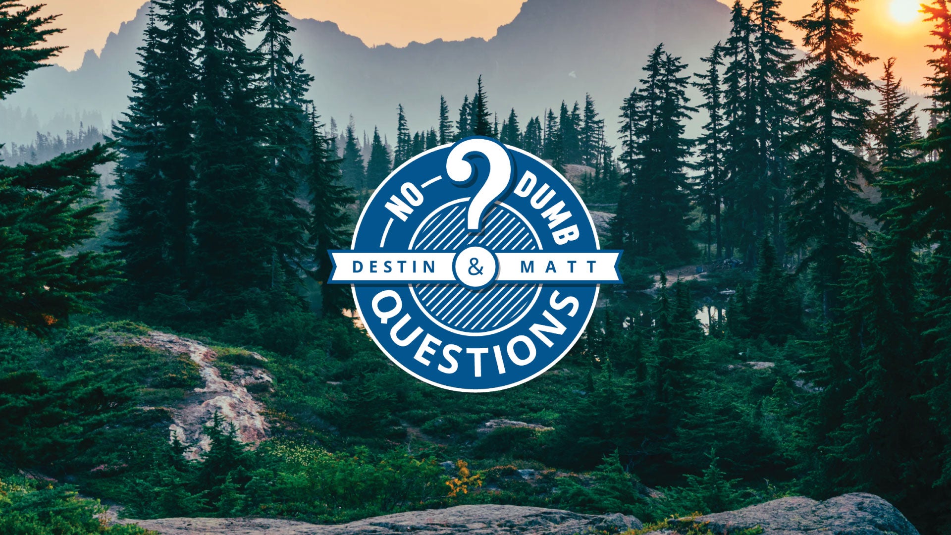 Surviving the Startup Valley of Death, No Dumb Questions Podcast ...
